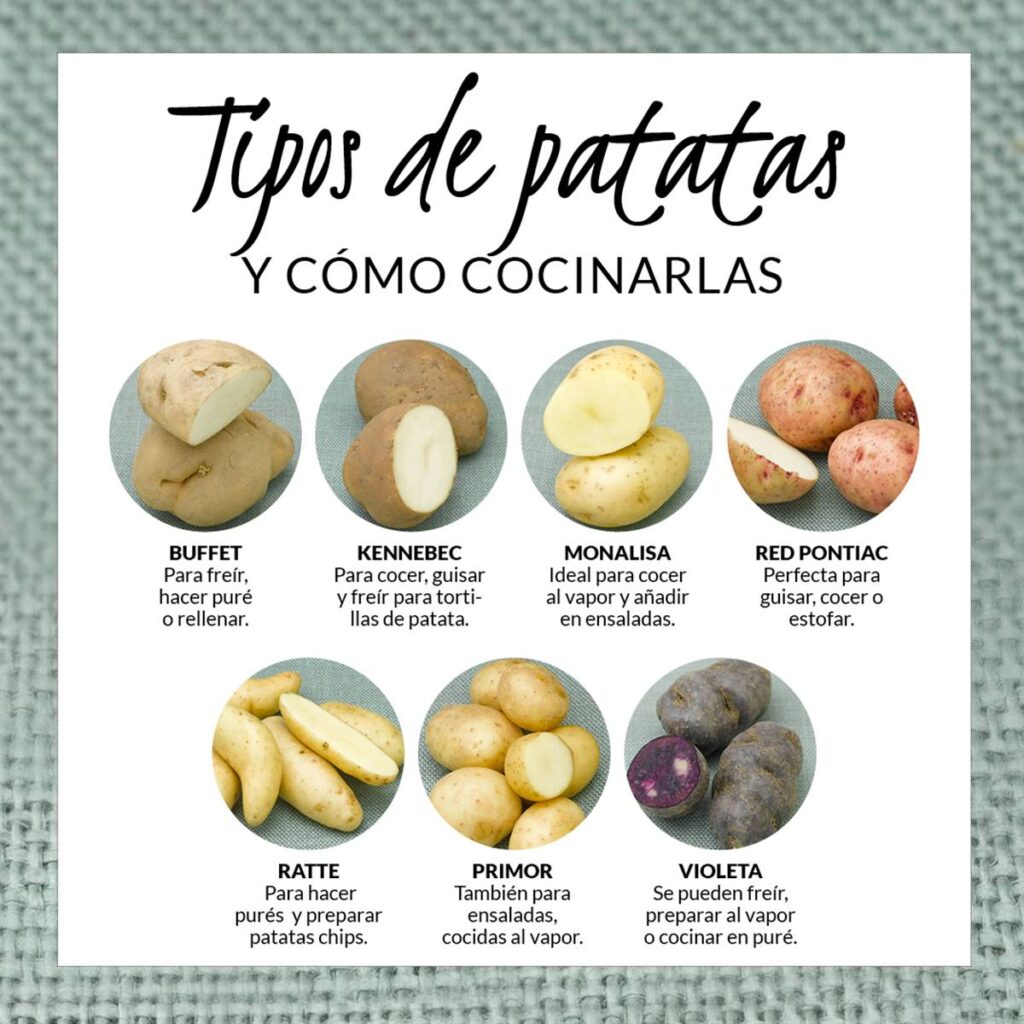 Cómo preparar ñoquis caseros perfectos paso a paso Sudigastro