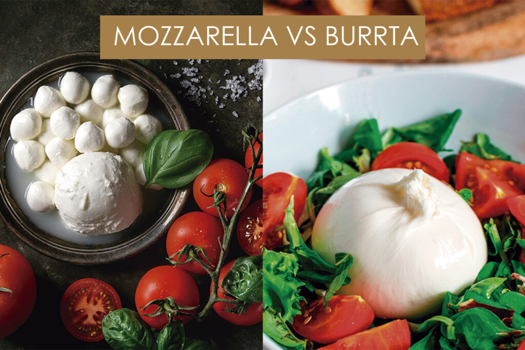 Queso burrata vs mozzarella: características Sudigastro